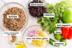 Southwest Quinoa Salad - iFoodReal.com
