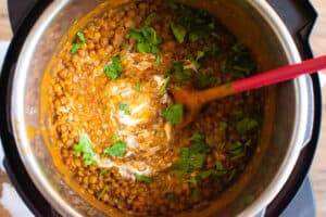 Instant Pot Dal {30 Minute Lentil Curry} - iFoodReal.com